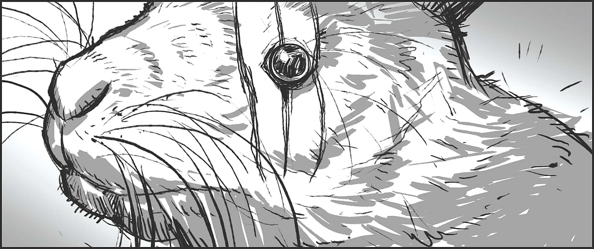 Tips to Create Successful Story-boarding | Saumin Patel - Creative Gaga