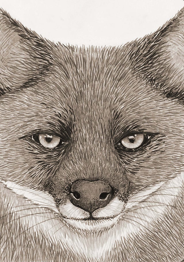 Decoding Nature Through Art | Lion-tailed Macaque | Creative Gaga