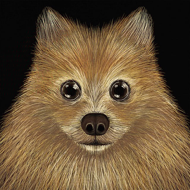 Decoding Nature Through Art | Lion-tailed Macaque | Creative Gaga