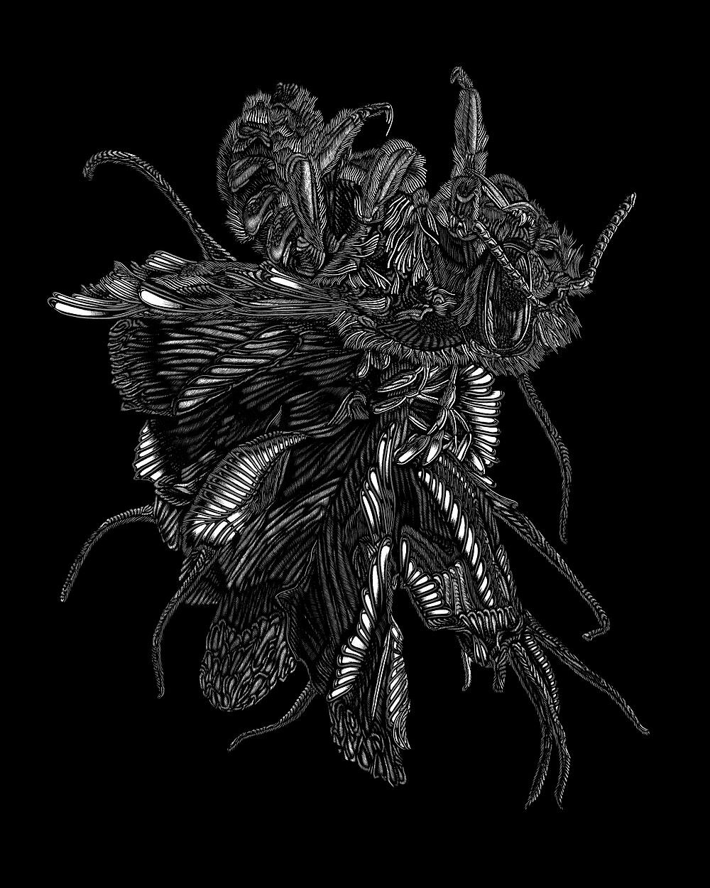 Bold and Intrinsic Illustrations with Deeper Meaning! - Creative Gaga