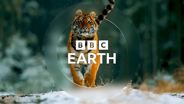 BBC Earth Unveils New Logo: A 'Window to the World'
