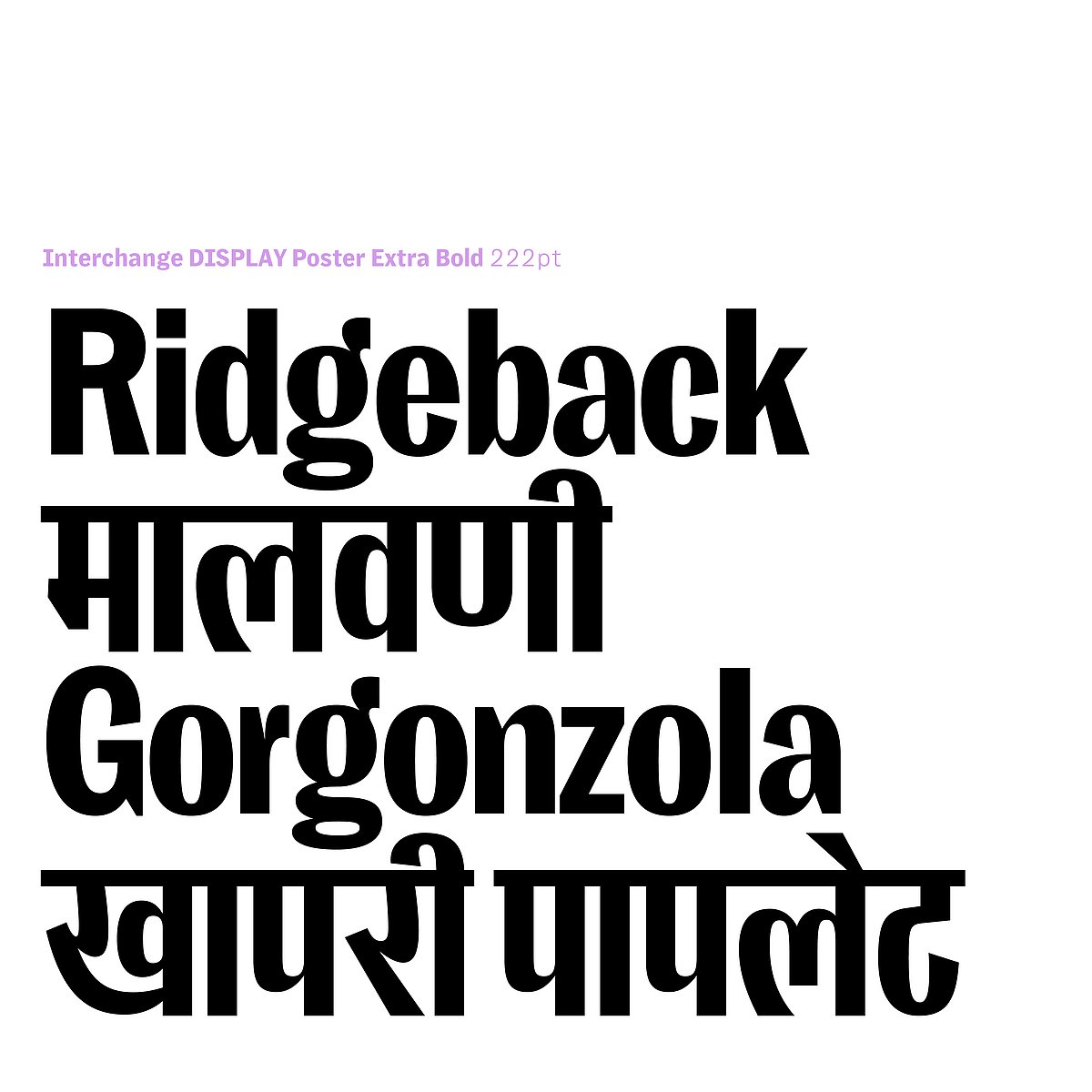 Letters Unleashed - Embracing India's Rich Heritage One Letter at a Time