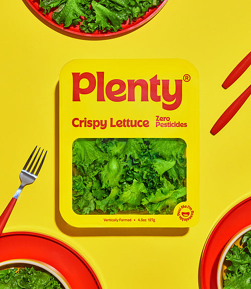 Plenty: From Clean Greens to Crave-Worthy Design