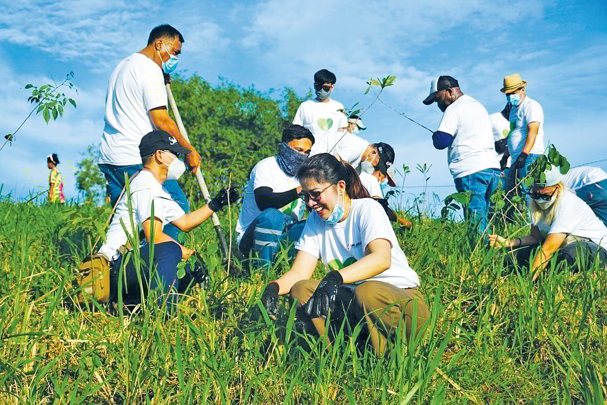 MERALCO’S ONE FOR TREES: Building a greener future through sustainable ...