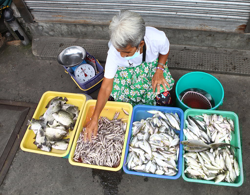 No need to import fish: local fishers