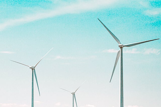 Joint venture to put up wind project in CamSur