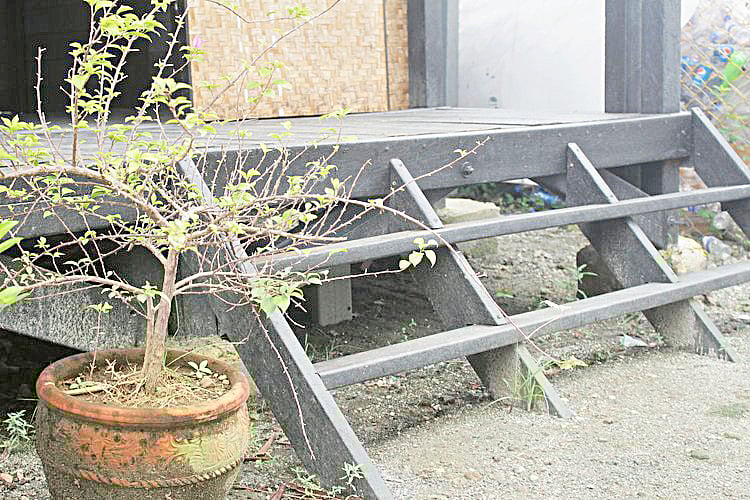 Creating eco-spaces with The PlaF