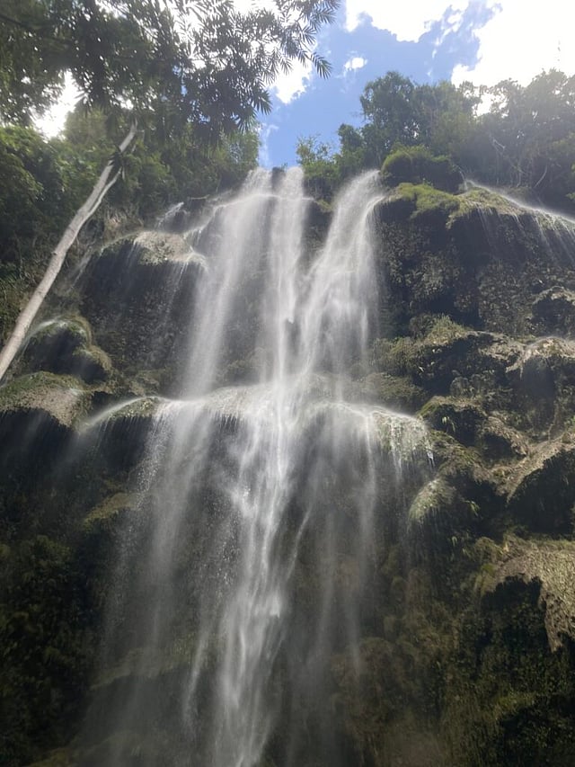 The wonders of Oslob