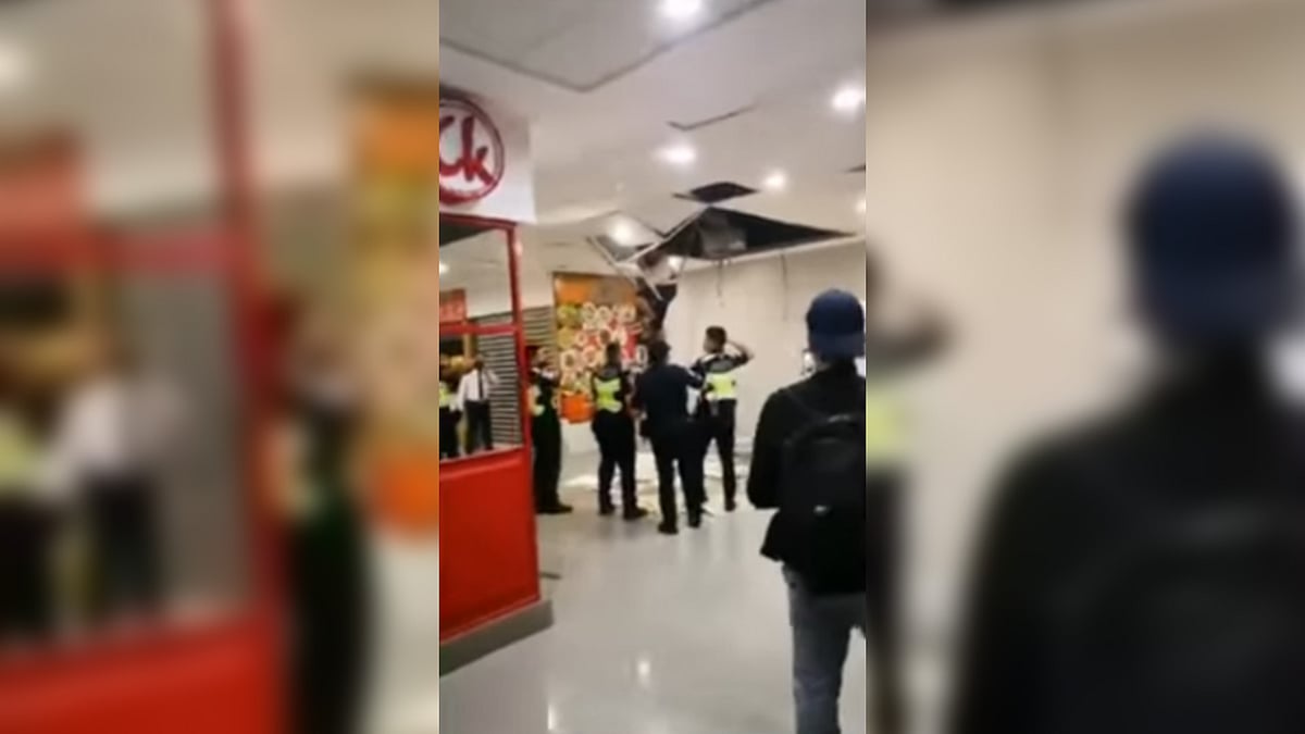 NAIA ceiling crawler nabbed