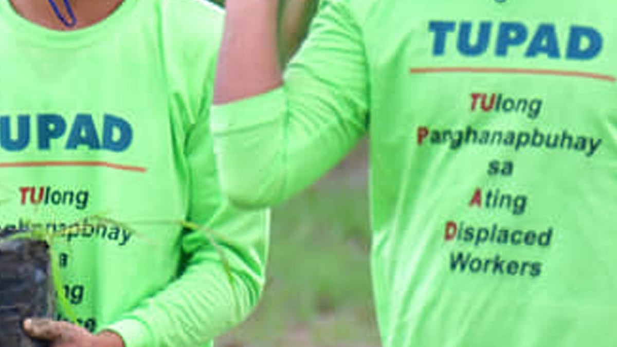 House to probe TUPAD scam