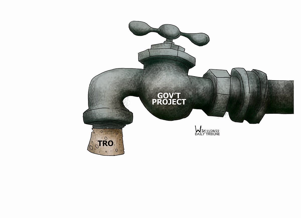 The TRO as hurdle to development