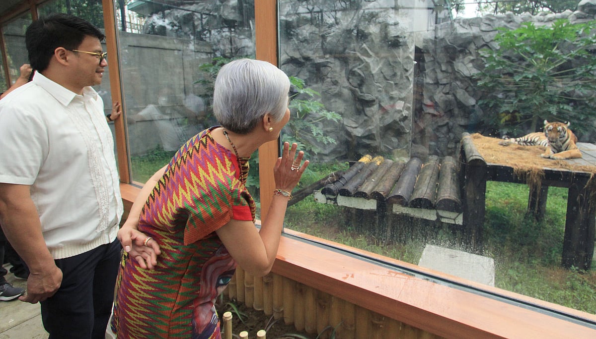 Grandpas soak in zoo scene