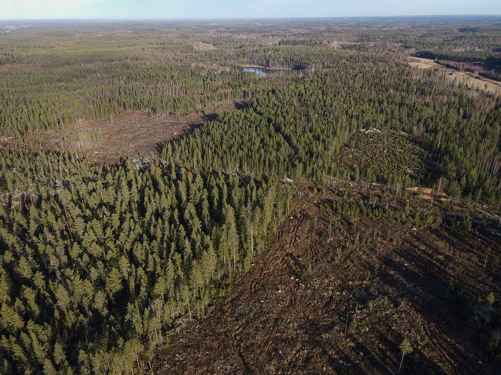 EU bans deforestation products