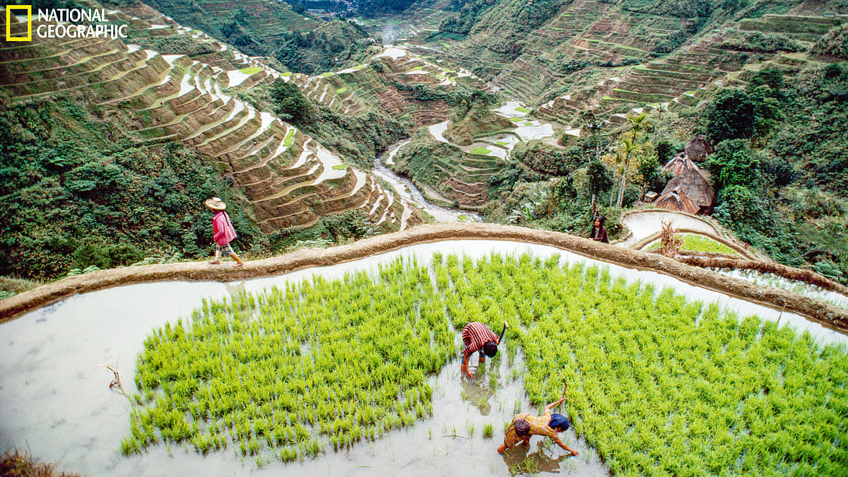 National Geographic Society