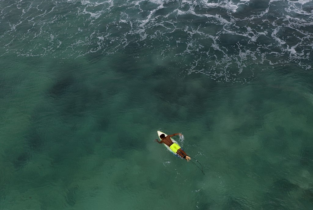 Snake no mistake: Australian fined for surfing with python