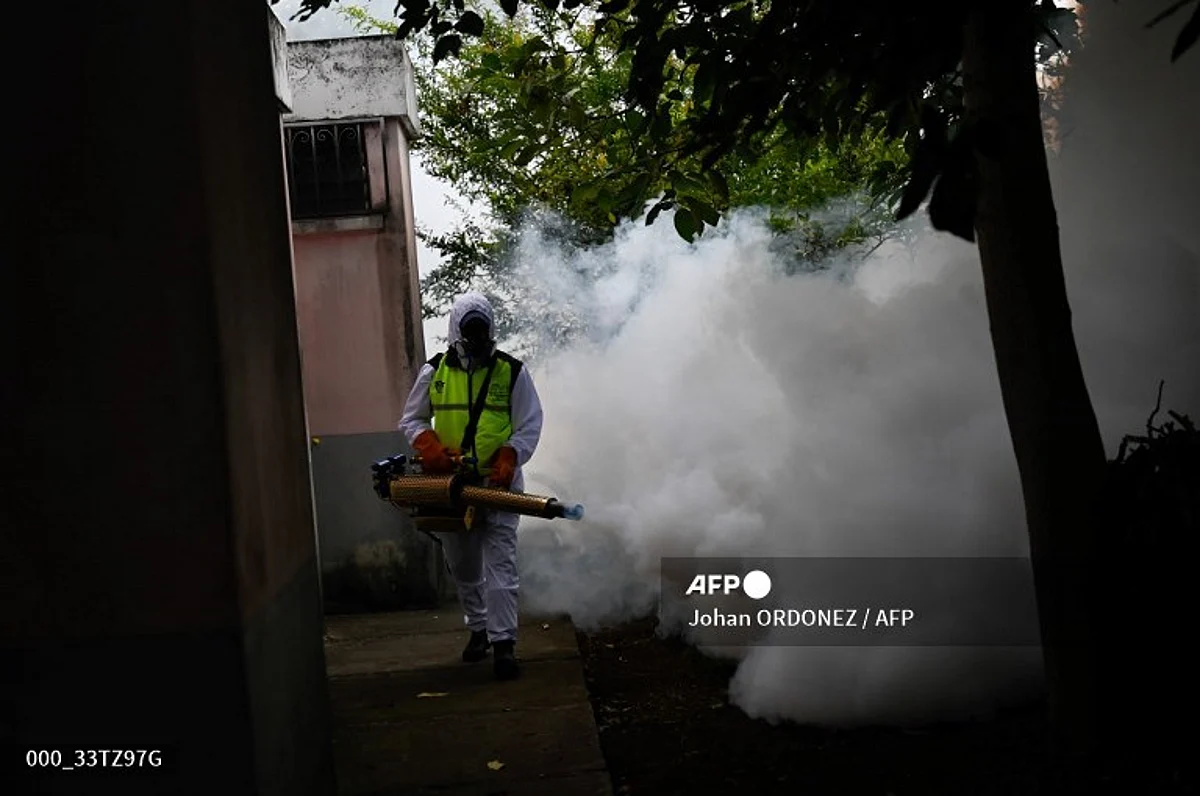Guatemala declares dengue health emergency Guatemala declares dengue health emergency