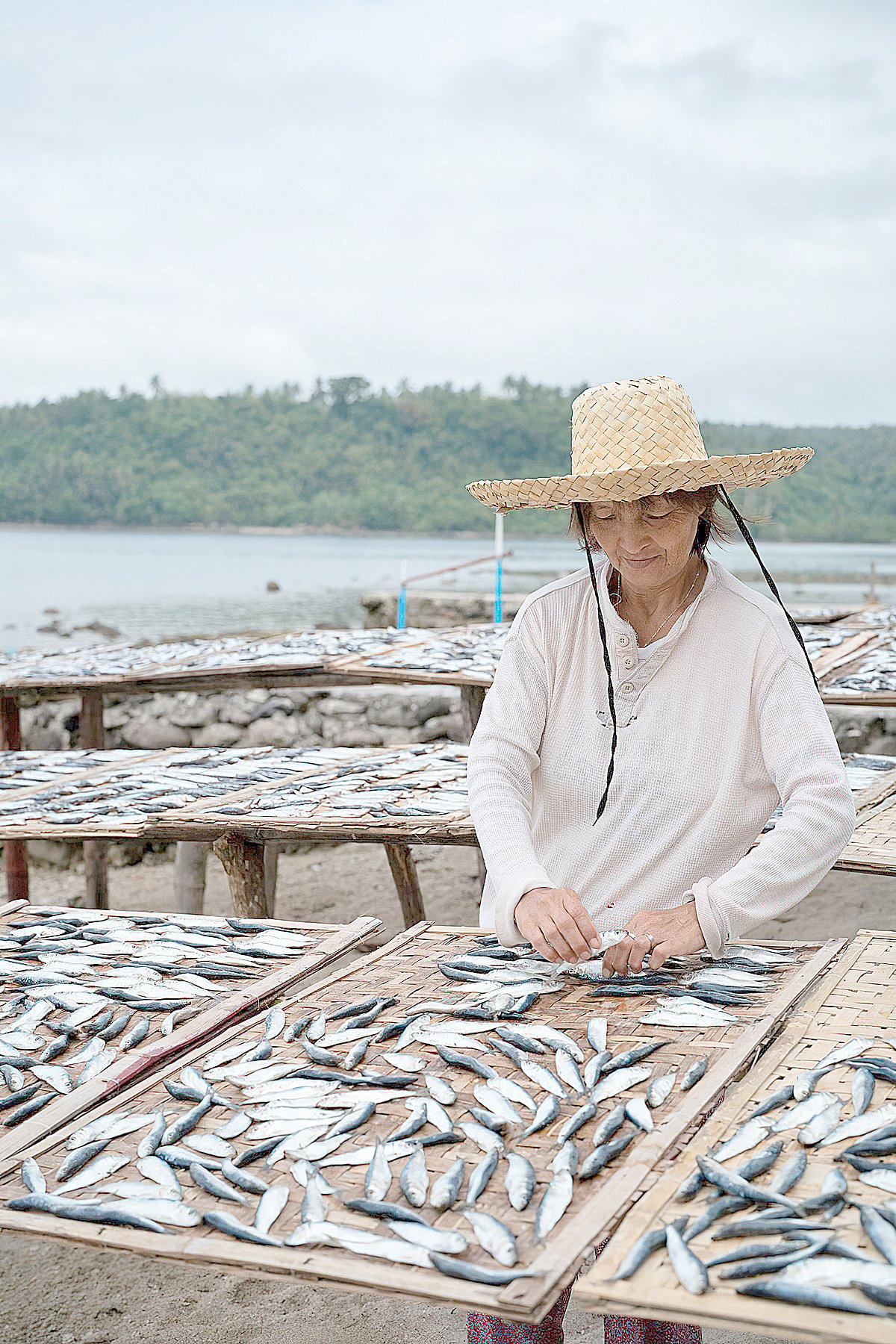 BFAR pushes science for sardine mgm’t plan
