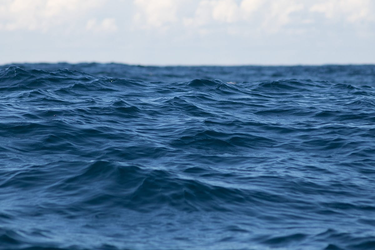 High seas treaty moves closer to reality with first signatures