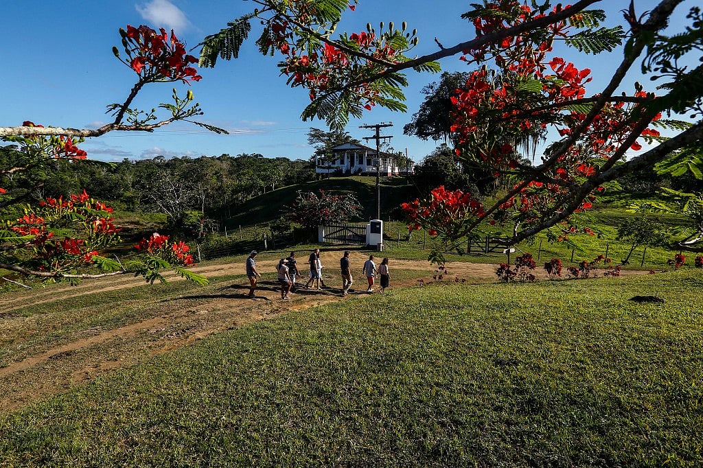 Brazil to unveil plan to increase farmland by 60%