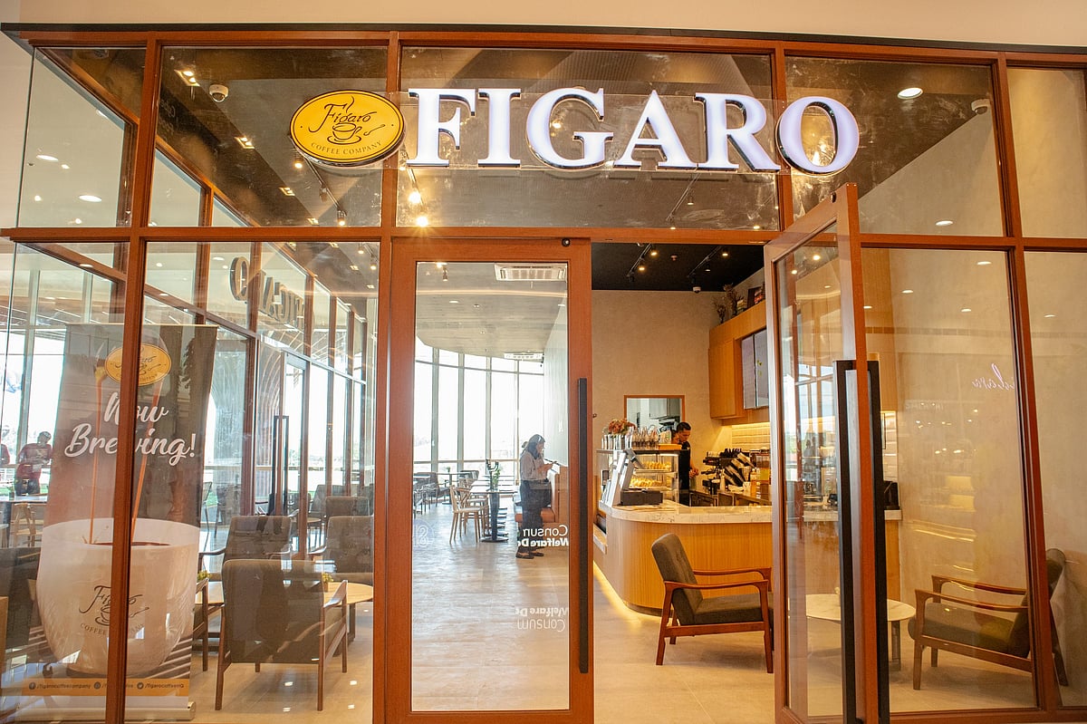 Figaro expects strong holiday sales