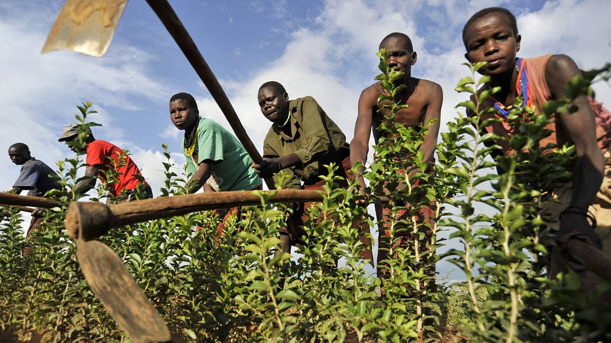 Malawi sends farmers to Israel