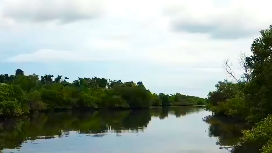 Mandaue City eyes eco-tourism park