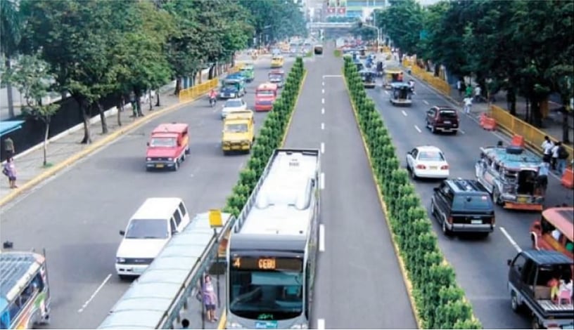 Over 200 Cebu earth-balled trees die