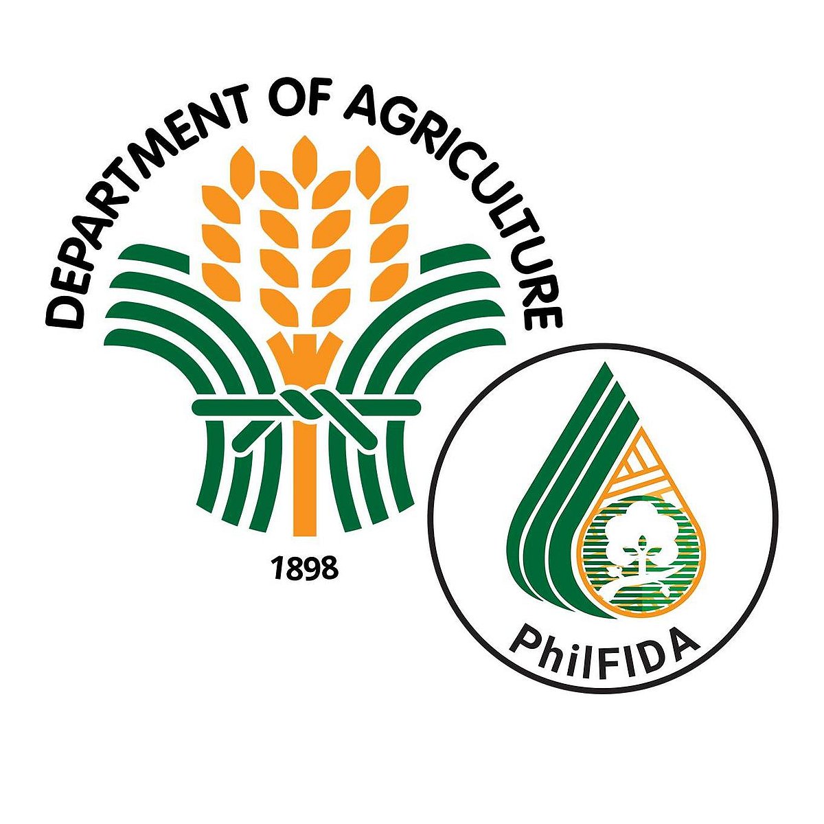 BBM pushes fiber sector dev’t