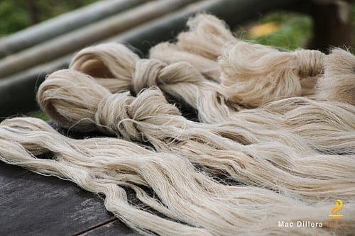 Aklan’s piña weaving inscribed as ‘Intangible Cultural Heritage of ...