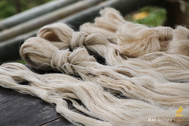 Aklan’s piña weaving inscribed as ‘Intangible Cultural Heritage of ...