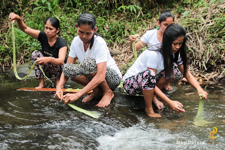 Aklan’s piña weaving inscribed as ‘Intangible Cultural Heritage of ...