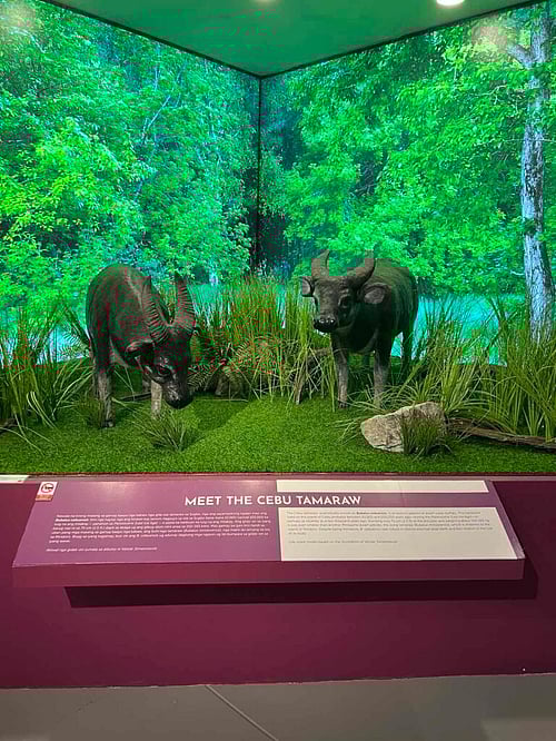 Old Aduana, now a prized depository and showcase of Cebu’s richness