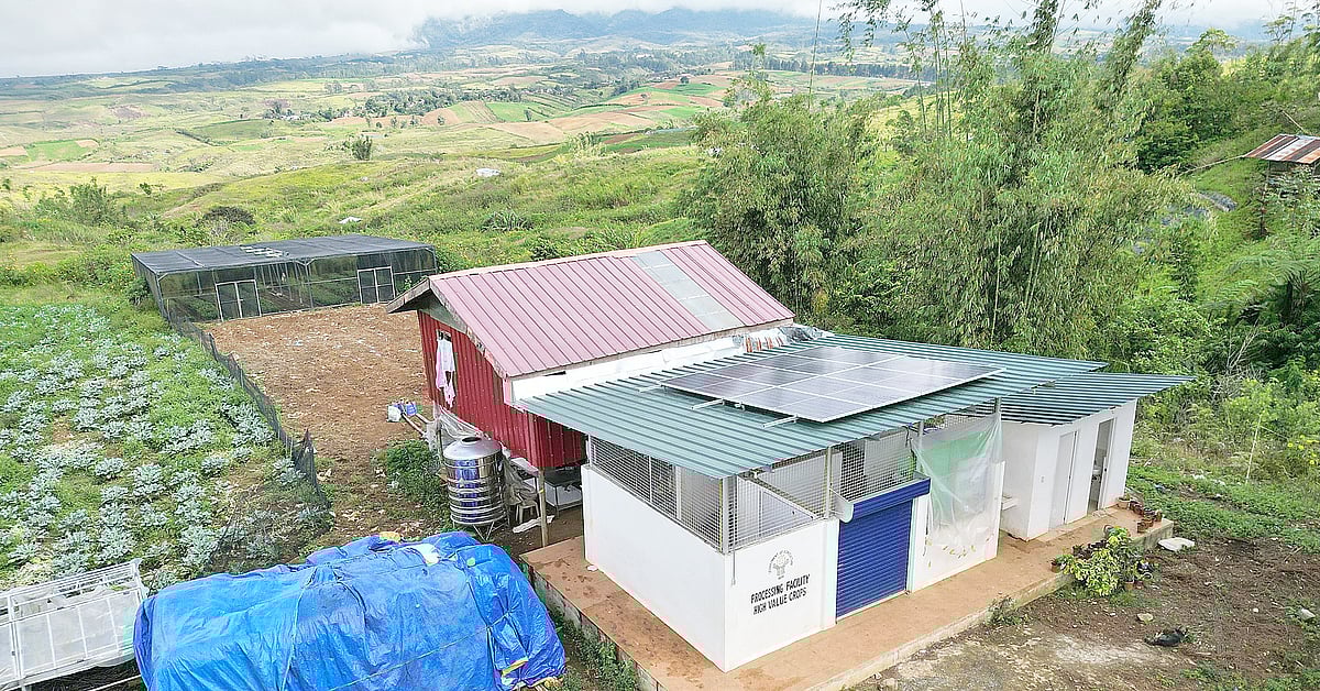 Solar power brightens up IP’s coffee future