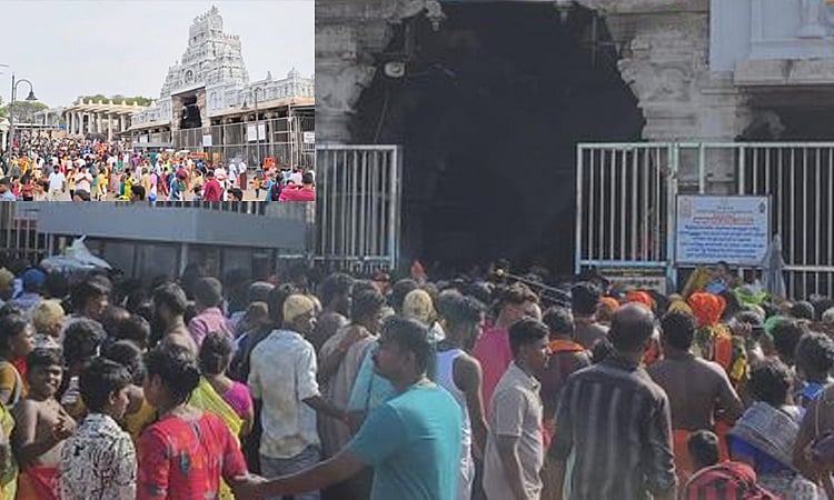 திருச்செந்தூர் முருகன் கோவில் பரபரப்பு: பக்தர்கள் இரும்பு கேட்டை ...