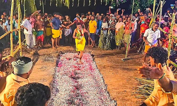 Mannargudi Temple தேவங்குடி மகா காளியம்மன் கோவில் தீமிதி உற்சவம் ...
