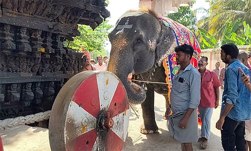 தருமபுரம் ஆதீனம் கோவில் தேர் விழா, யானை உதவியுடன் தேரோட்டம் உற்சாகம் ...