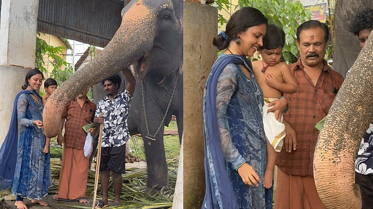 கோவில் யானையுடன் அமலாபால்- வைரலாகும் புகைப்படம் - Amala Paul with a ...