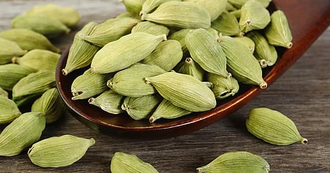 ஏலக்காய் விலை கிடுகிடு உயர்வு; விவசாயிகள் மகிழ்ச்சி