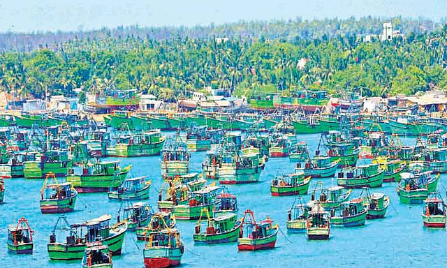 மீன்களுக்கு உரிய விலை நிர்ணயம் செய்யக்கோரி ராமேஸ்வரம் மீனவர்கள் வேலை ...