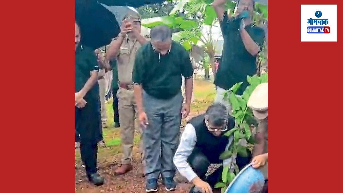 Farmagudi ITI: फर्मागुढी-आयटीआयमध्ये वनखात्यातर्फे वनमहोत्सव |van ...