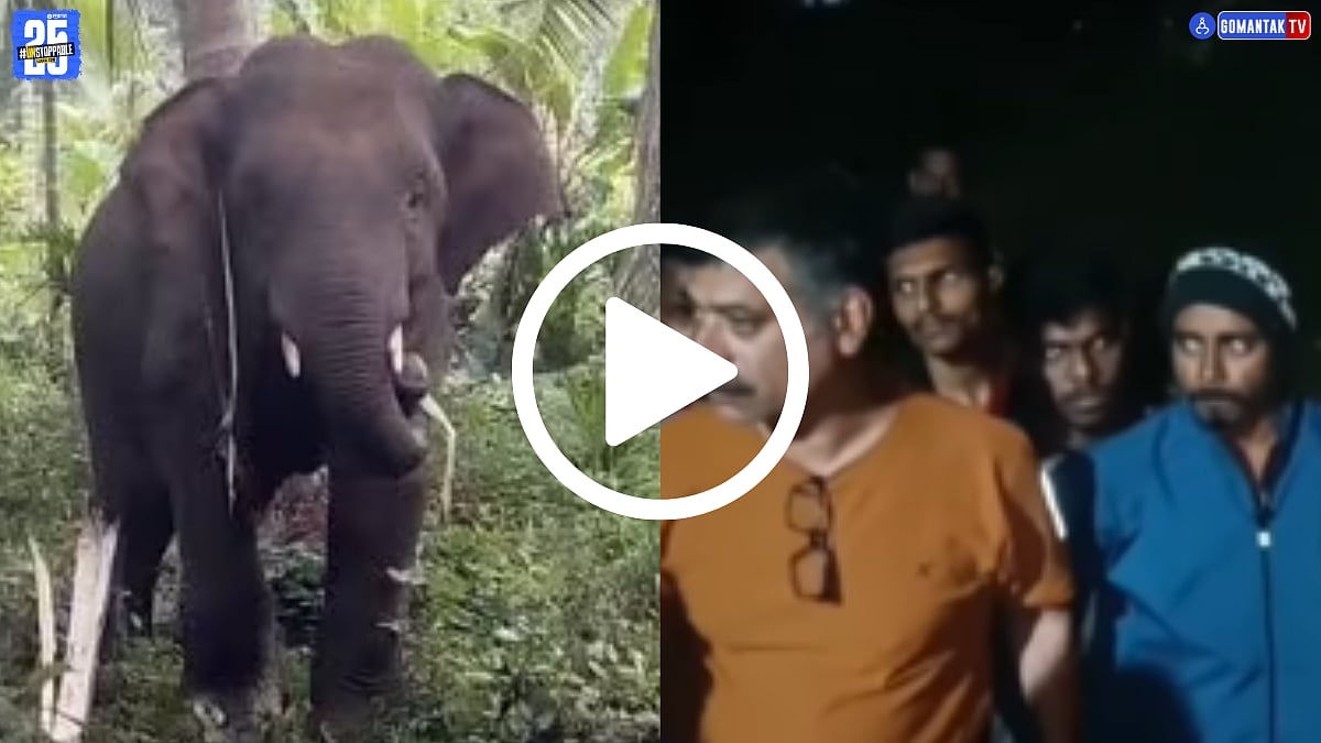 Omkar Elephant: "सह्याद्रीत जन्म, सह्याद्रीतच राहणार...", 'ओंकार हत्ती ...