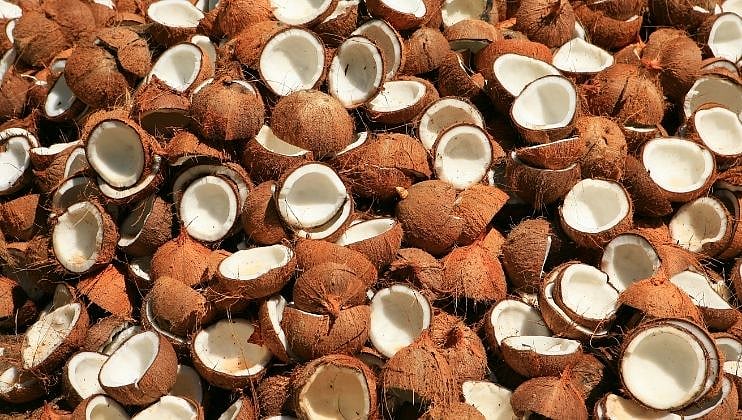 Goa Coconut Market: गोवेकरांनो!! खोबऱ्याचं प्रेम महागलं; नारळाचं वजन ...