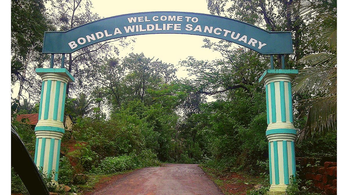 Bondla Sanctuary In Goa: केंद्र सरकारची मंजुरी; ‘बोंडला’ बनविणार आणखी ...