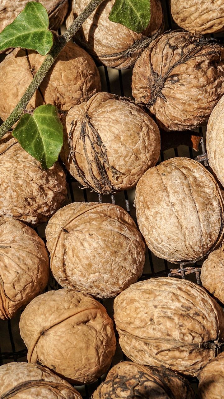 अक्रोड खा आणि स्वस्थ रहा|health benefits of eating walnut
