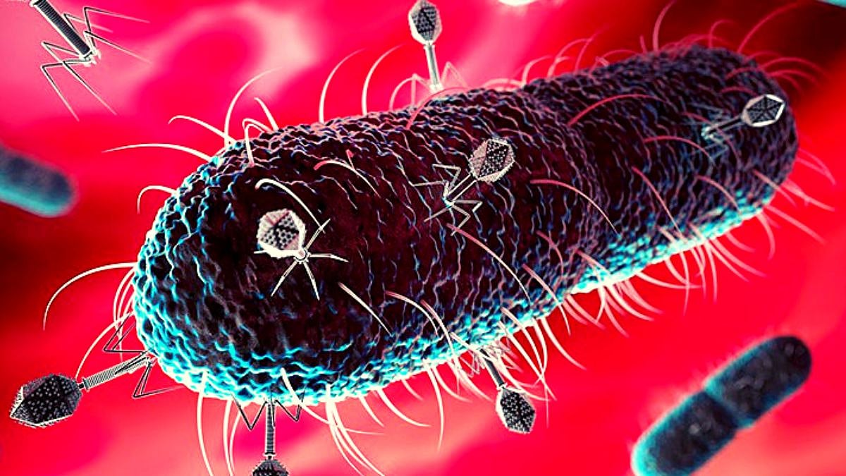 कोरोनानंतरचा सर्वात मोठा धोका बनणार सुपरबगघेउ शकतो एवढे बळी Superbug Bacteria | Superbugs Types ...
