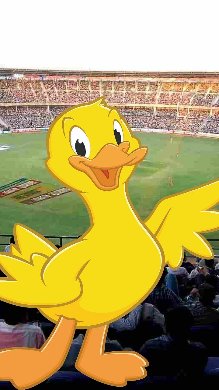 क्रिकेटमधील आठ प्रकारचे डक माहित आहेत का? | Do you know 8 Types Of Duck ...