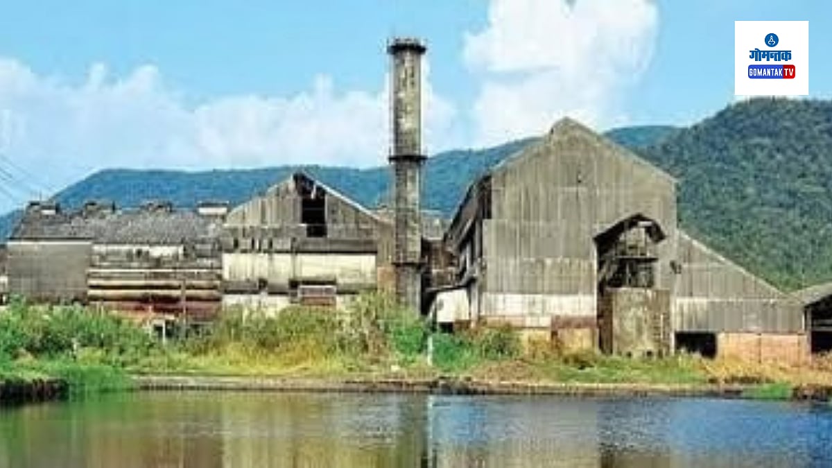 या वयात आम्ही कुठे जाणार? आम्हाला काढून टाकू नका! कंत्राटी ...