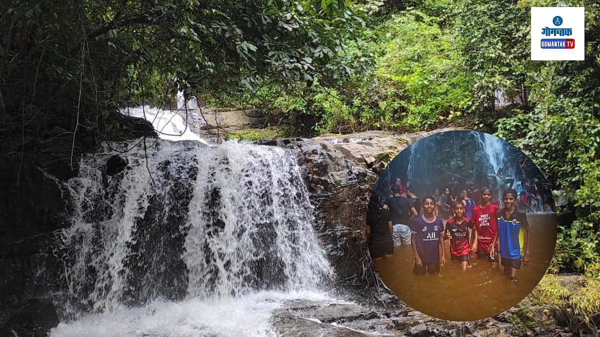 Waterfalls In Goa : पावसाळी धबधब्यांनी दिली म्हादईला श्रीमंती ...