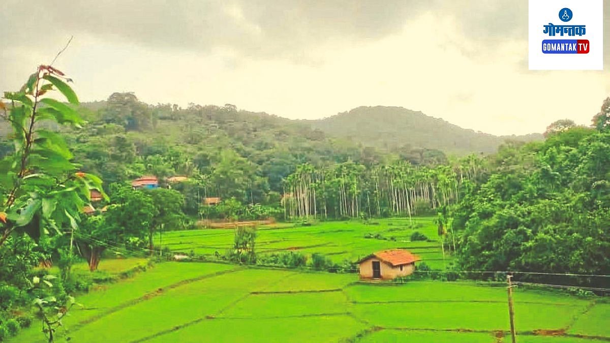 Goa Eco Sensitive Zone: धक्कादायक! जैव संवेदनशील गावे वगळण्यासाठी लेखी ...