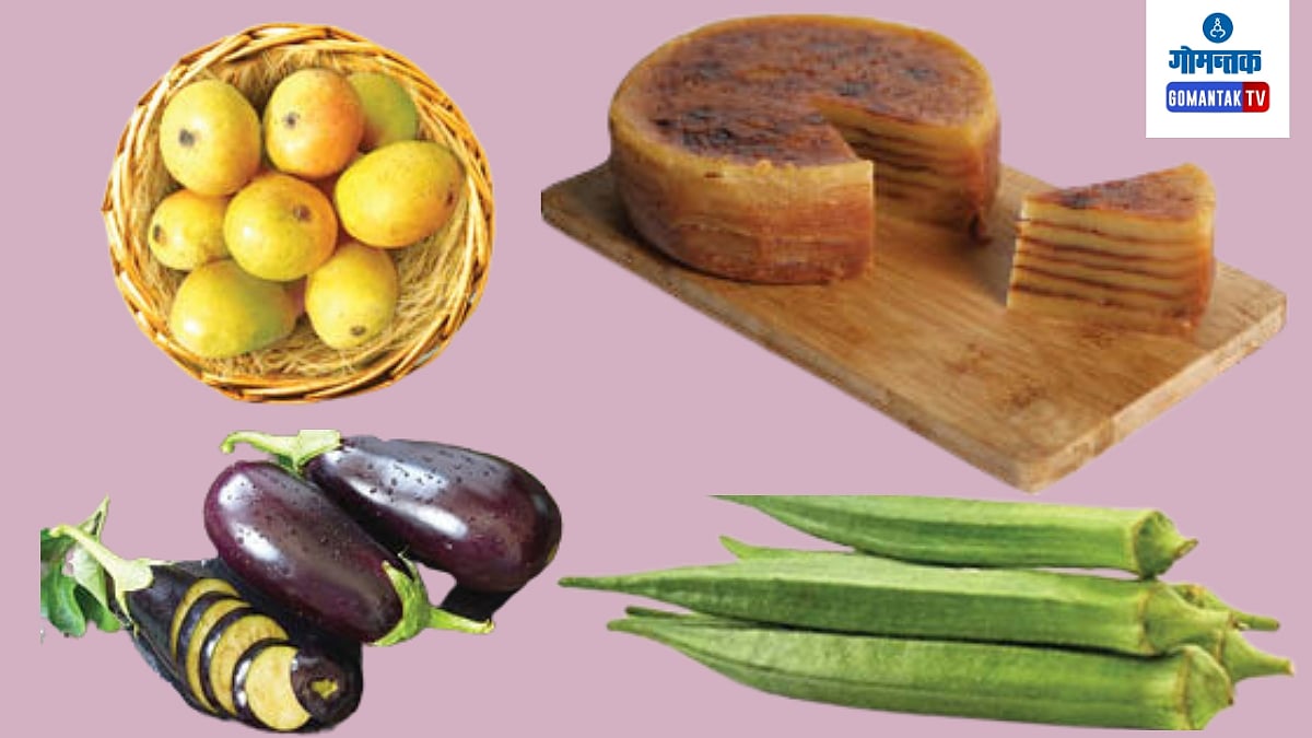 GI Tag: बेबींका, मानकुराद, आगाशीचे वांगे, सात शिरांची भेंडी आता ...